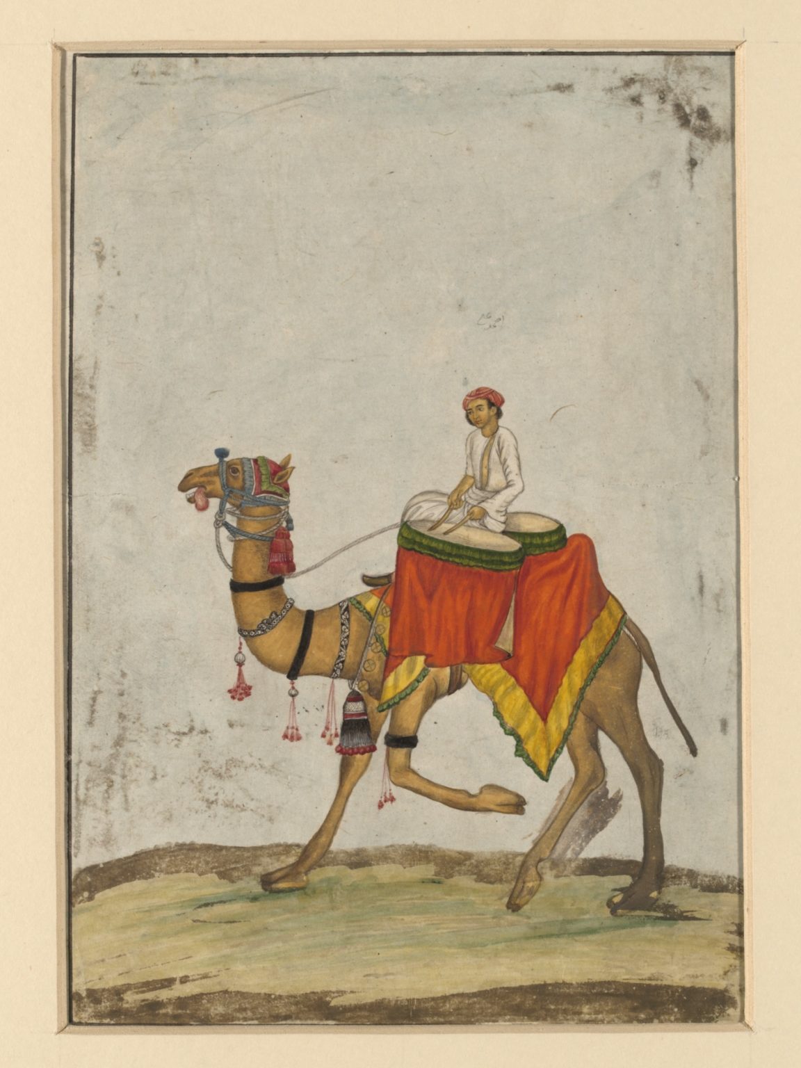 Ship of the desert - the camel - Queen of Thar